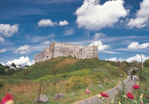 Blog | Latest News | Amroth Castle Holiday Park, Pembrokeshire