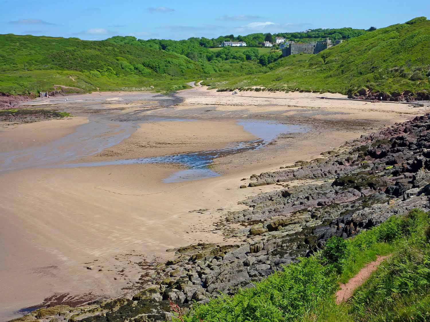 Wildlife Hotspots In Pembrokeshire | Amroth Castle Holiday Park